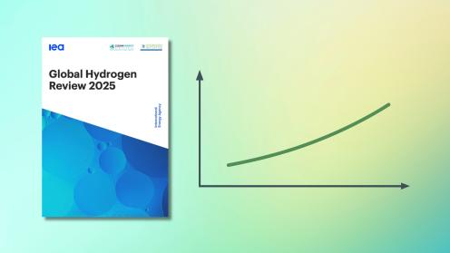 The IEA’s Global Hydrogen Review 2025: green hydrogen ramp up is slower ...